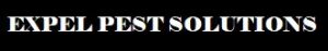 Best Free Spins No Wager Casino Sites - Expel Pest Control Solutions